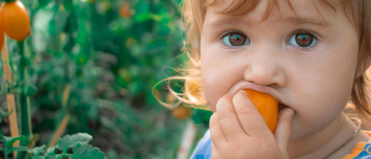 Verstikking | VeiligheidNL